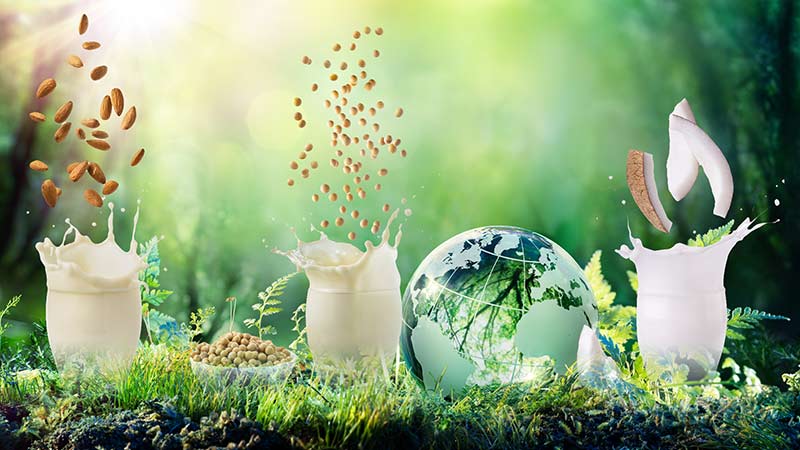 Impact écologique des boissons végétales|Testachats