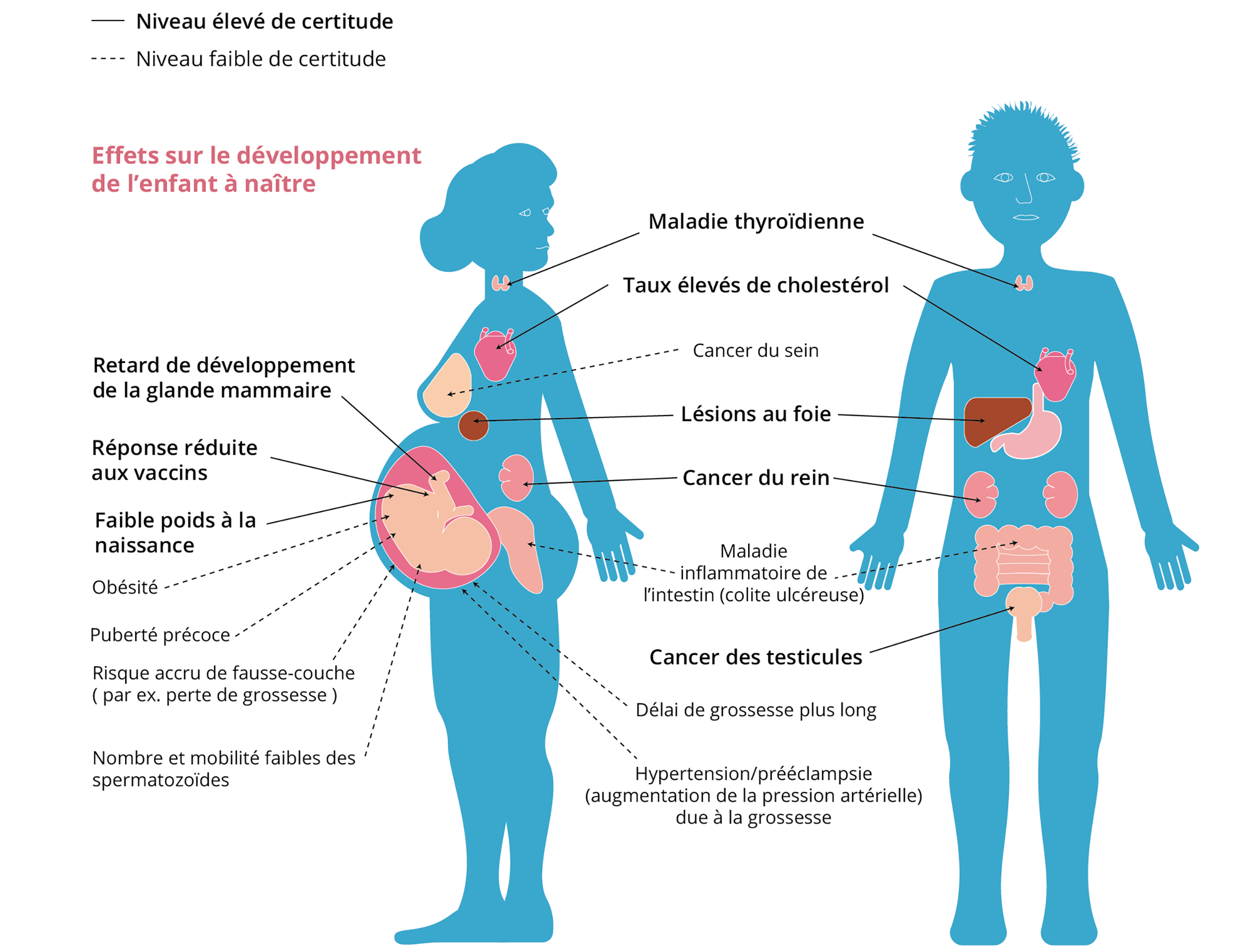 Les risques des PFAS pour la santé